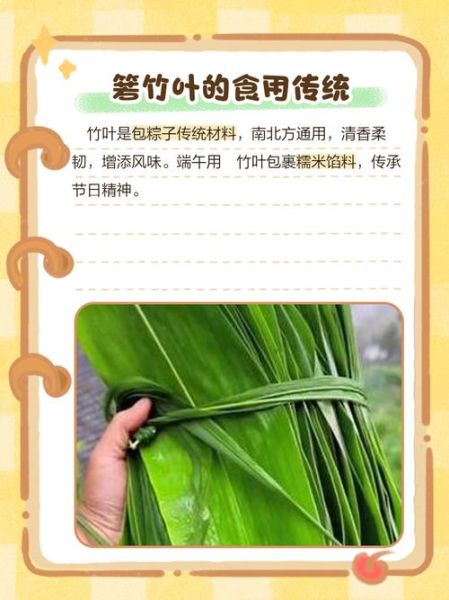 箬竹怎么读_箬竹叶的用途-第3张图片-山城妙识