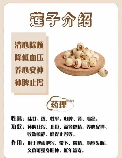 男人为什么不能吃莲子_莲子对男性的危害-第1张图片-山城妙识 男人为什么不能吃莲子_莲子对男性的危害-第1张图片-山城妙识