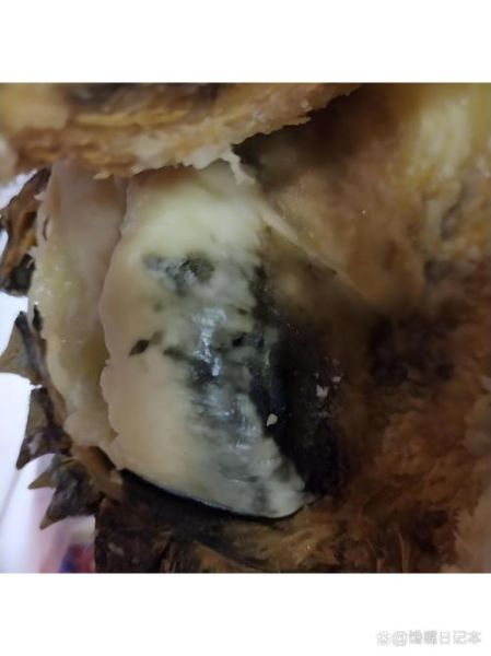 变质的榴莲图片_还能吃吗-第1张图片-山城妙识 变质的榴莲图片_还能吃吗-第1张图片-山城妙识