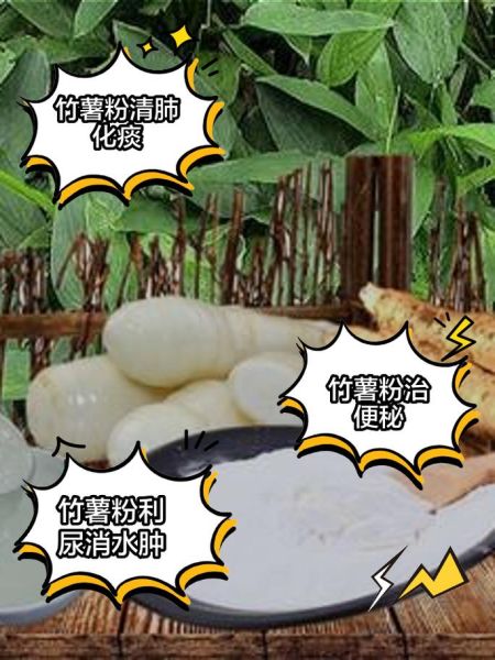 竹薯怎么吃_竹薯的功效与作用-第3张图片-山城妙识 竹薯怎么吃_竹薯的功效与作用-第3张图片-山城妙识