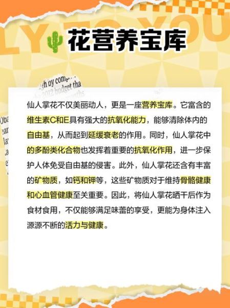 仙人掌花的作用与功效_仙人掌花怎么吃效果最好-第3张图片-山城妙识