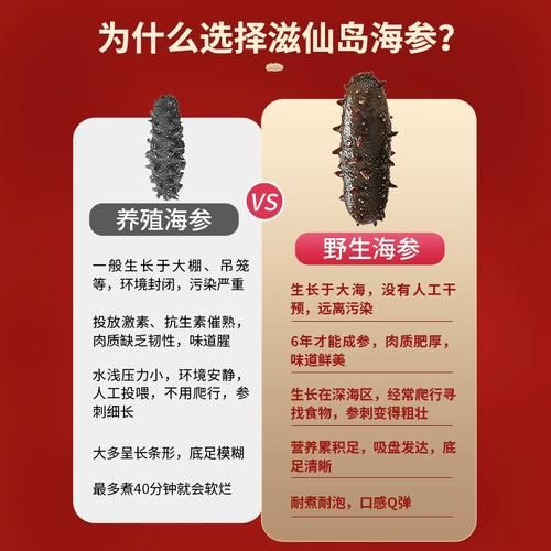 野生海参多少钱一斤_野生海参怎么挑选-第2张图片-山城妙识