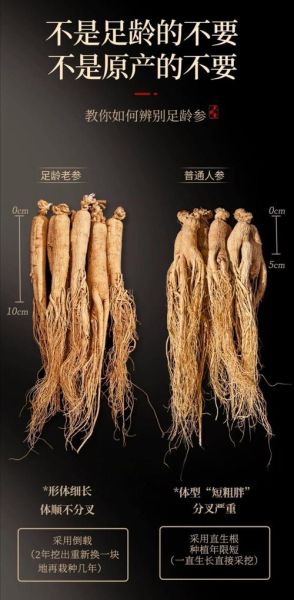 伊春特产批发市场在哪里_伊春山货批发价格是多少-第3张图片-山城妙识