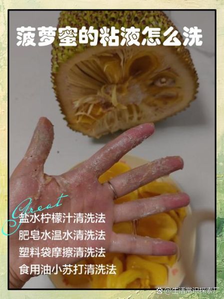菠萝蜜的正确吃法怎么吃_菠萝蜜怎么剥不粘手-第2张图片-山城妙识 菠萝蜜的正确吃法怎么吃_菠萝蜜怎么剥不粘手-第2张图片-山城妙识
