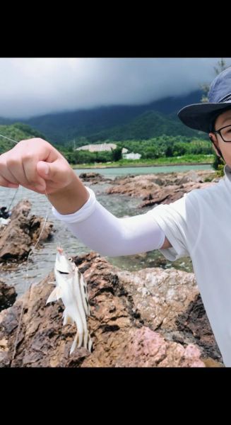 细鳞鱼多少钱一斤_细鳞鱼价格行情-第2张图片-山城妙识