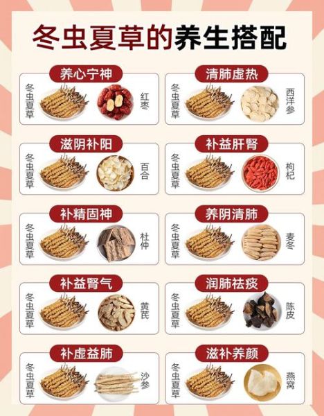 冬虫夏草怎么吃比较好_冬虫夏草最佳吃法-第1张图片-山城妙识