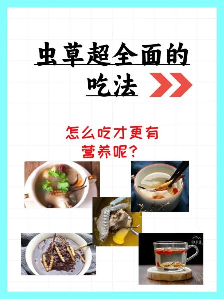 冬虫夏草怎么吃比较好_冬虫夏草最佳吃法-第2张图片-山城妙识
