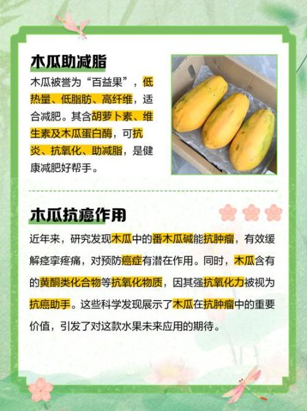 木瓜的功效与作用有哪些_木瓜怎么吃最营养-第3张图片-山城妙识 木瓜的功效与作用有哪些_木瓜怎么吃最营养-第3张图片-山城妙识