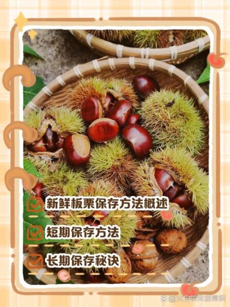 新鲜板栗怎么保存_板栗能放多久-第1张图片-山城妙识