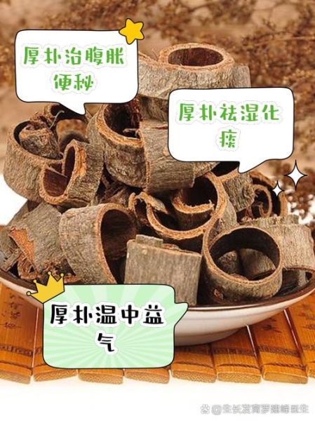 厚朴的功效与作用禁忌_哪些人不能吃厚朴-第3张图片-山城妙识