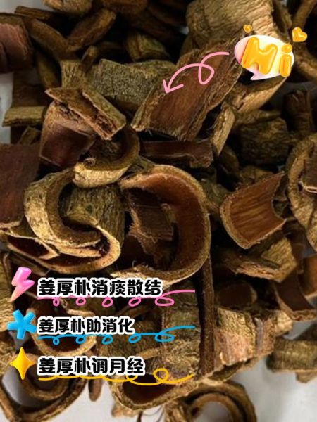 厚朴的功效与作用禁忌_哪些人不能吃厚朴-第1张图片-山城妙识