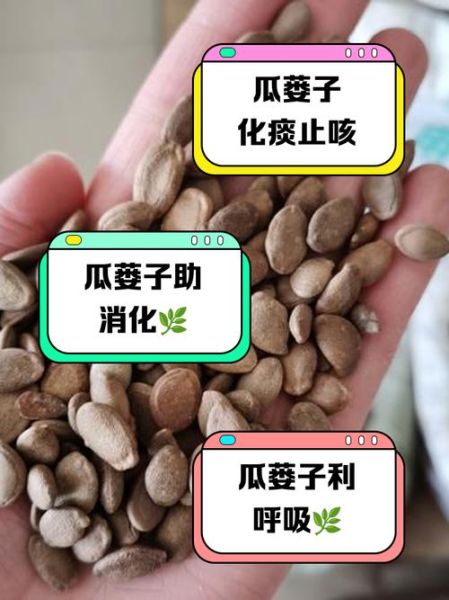 瓜蒌仁的副作用有哪些_哪些人不能吃-第1张图片-山城妙识 瓜蒌仁的副作用有哪些_哪些人不能吃-第1张图片-山城妙识