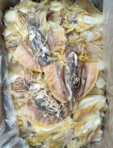 爆炒墨鱼干怎么泡发_爆炒墨鱼干用焯水吗-第3张图片-山城妙识