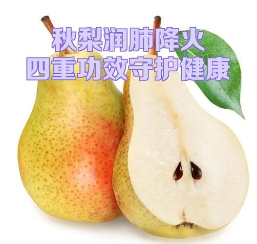 润肺的水果有哪些_润肺水果怎么吃效果最好-第3张图片-山城妙识