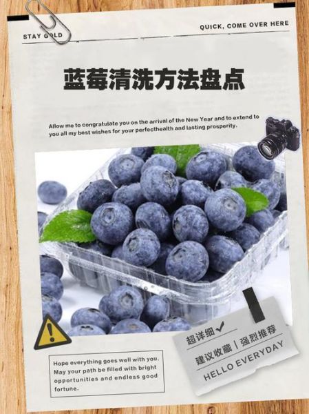 蓝莓怎么吃好吃又简单_蓝莓怎么清洗保存-第1张图片-山城妙识