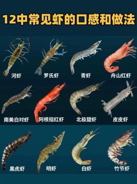海虾的营养价值及功效_吃海虾能补钙吗-第3张图片-山城妙识