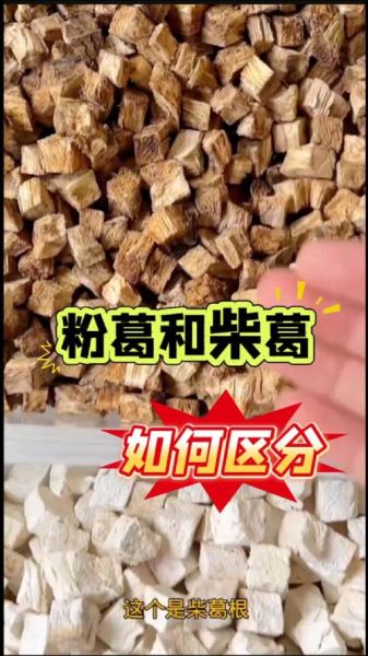 粉葛是葛根吗_粉葛与葛根的区别-第2张图片-山城妙识 粉葛是葛根吗_粉葛与葛根的区别-第2张图片-山城妙识