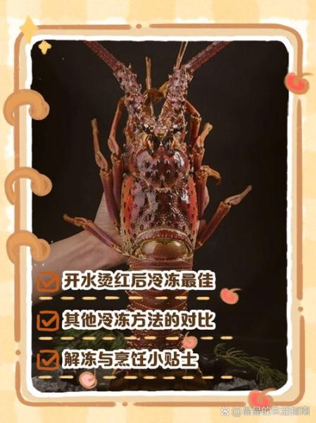 冷冻大龙虾怎么做好吃_冷冻大龙虾蒸还是煮-第1张图片-山城妙识