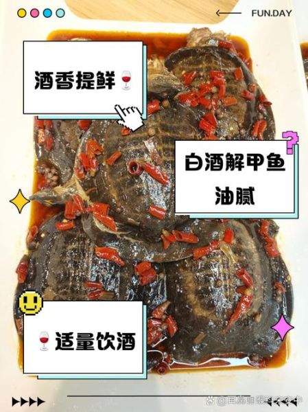 甲鱼胆汁怎么吃_甲鱼胆汁食用禁忌-第1张图片-山城妙识