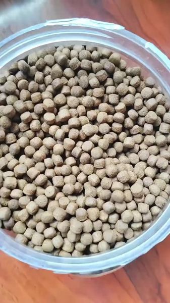 甲鱼胆汁怎么吃_甲鱼胆汁食用禁忌-第2张图片-山城妙识