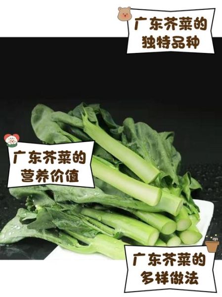 广东大芥菜图片大全_广东大芥菜怎么做好吃-第2张图片-山城妙识