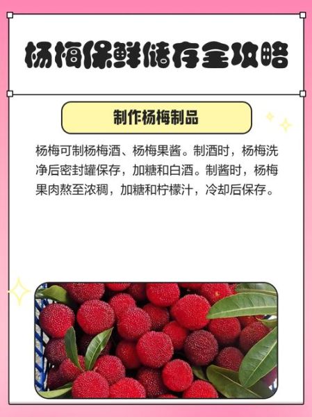 冰冻杨梅怎么做_冷冻杨梅保存多久-第2张图片-山城妙识