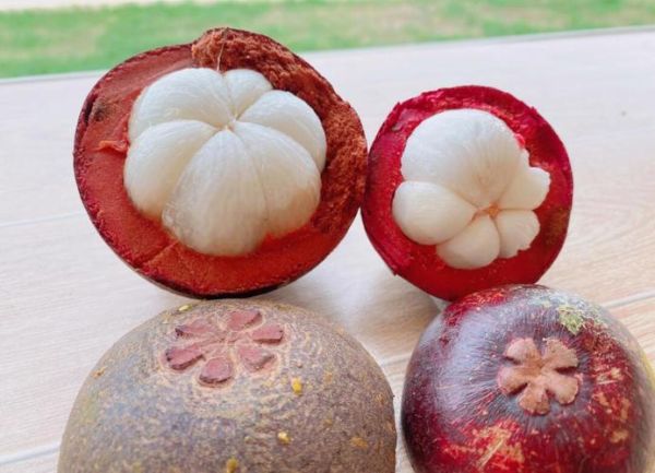 山竹怎么挑_山竹图片大全-第3张图片-山城妙识