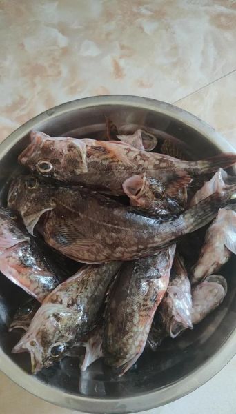 石九公鱼图片_石九公鱼怎么做好吃-第1张图片-山城妙识