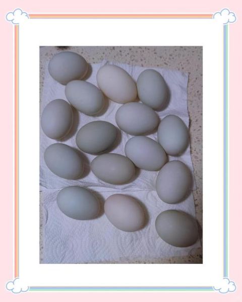 怎样腌制咸鸭蛋最好吃_咸鸭蛋出油秘诀-第2张图片-山城妙识