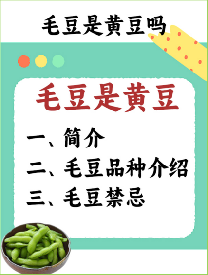 毛豆网站是什么_毛豆网站靠谱吗-第1张图片-山城妙识