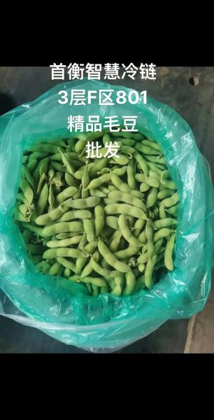 毛豆网站是什么_毛豆网站靠谱吗-第2张图片-山城妙识
