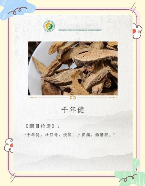 千年健的功效与作用_千年健能治什么病-第1张图片-山城妙识