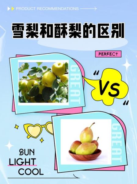 酥梨的功效与作用_酥梨和雪梨的区别-第1张图片-山城妙识