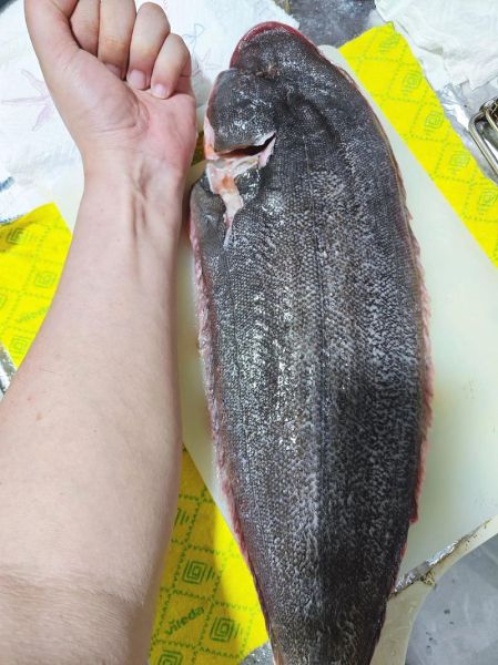 香煎龙利鱼的做法_最正宗的做法-第1张图片-山城妙识