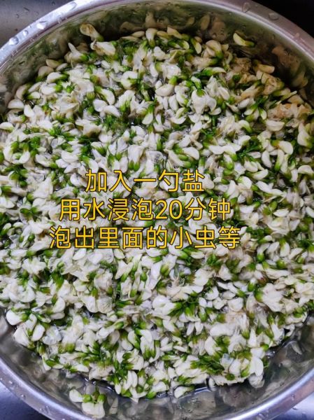 冰箱冻槐花怎么吃_冻槐花做法大全-第2张图片-山城妙识