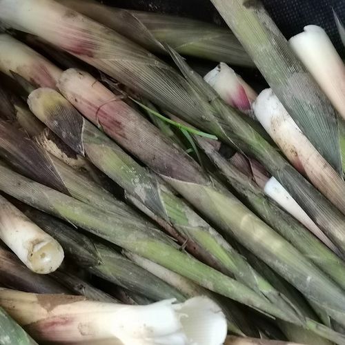 袋装竹笋怎么做好吃_袋装竹笋要焯水吗-第3张图片-山城妙识