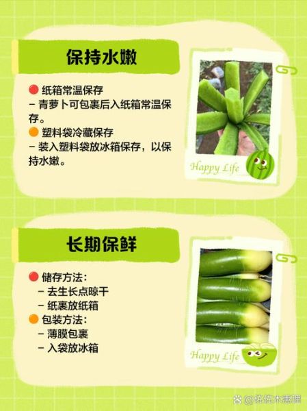 青萝卜怎么保存时间长_青萝卜可以放冰箱吗-第1张图片-山城妙识