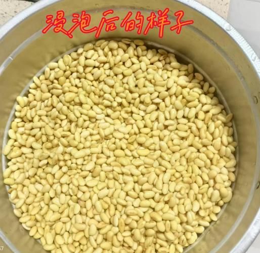 农家自制豆豉怎么做_豆豉发酵需要几天-第3张图片-山城妙识