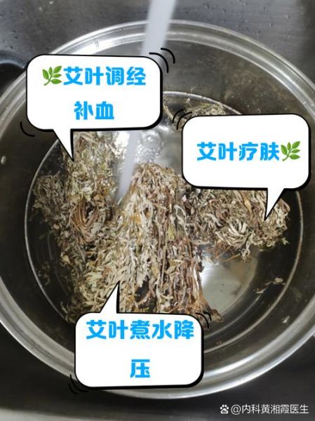 艾叶的功效与作用_艾叶怎么吃效果最好-第2张图片-山城妙识 艾叶的功效与作用_艾叶怎么吃效果最好-第2张图片-山城妙识