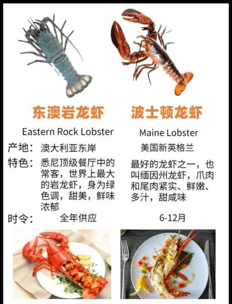 大龙虾品种有哪些_如何区分澳洲龙虾和波士顿龙虾-第1张图片-山城妙识 大龙虾品种有哪些_如何区分澳洲龙虾和波士顿龙虾-第1张图片-山城妙识