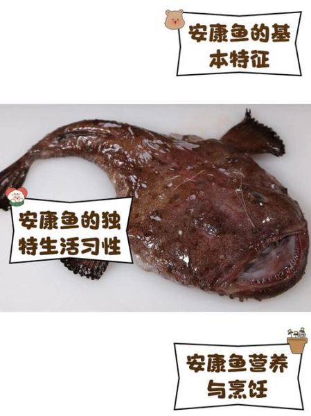 家常烧安康鱼怎么做_安康鱼去腥技巧-第3张图片-山城妙识