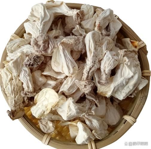 百灵菇怎么做好吃_百灵菇营养价值高吗-第1张图片-山城妙识