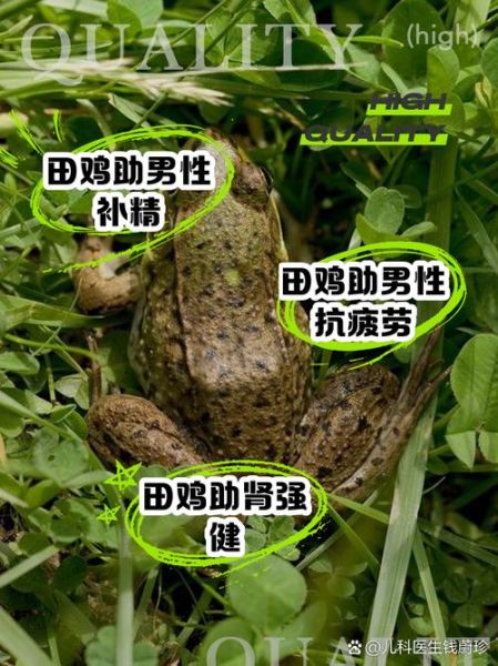 田鸡能吃吗_田鸡营养价值与食用禁忌-第1张图片-山城妙识