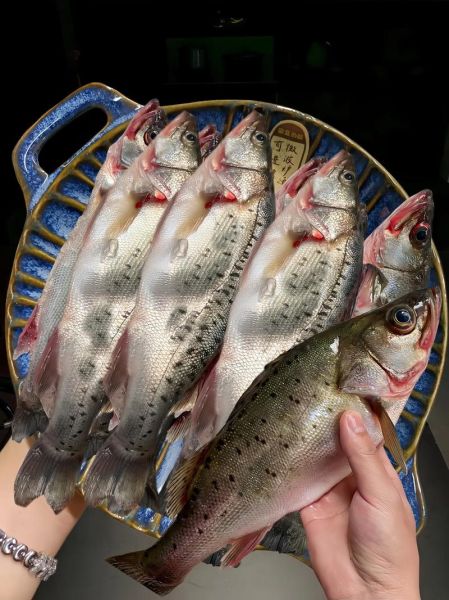 冷冻海鲈鱼怎么做好吃_冷冻海鲈鱼的家常做法-第2张图片-山城妙识
