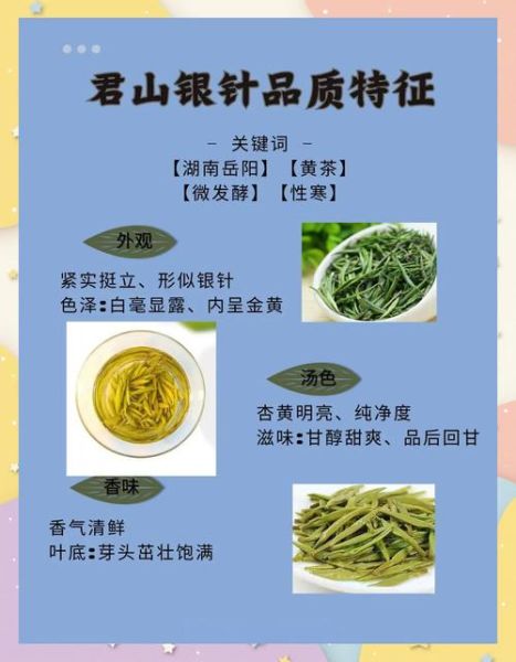 君山银针属于什么茶_君山银针是绿茶还是黄茶-第3张图片-山城妙识