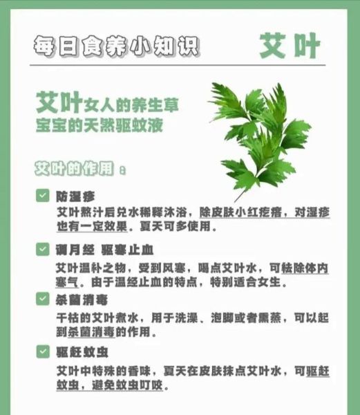 艾草的功效与作用_艾草泡脚的正确方法-第2张图片-山城妙识 艾草的功效与作用_艾草泡脚的正确方法-第2张图片-山城妙识