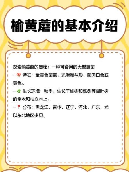 榆黄蘑种植技术_榆黄蘑怎么种产量高-第1张图片-山城妙识