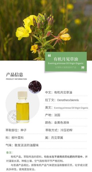 月见草油的功效与作用_月见草油适合什么人吃-第1张图片-山城妙识
