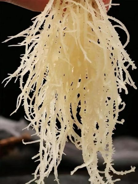 海菜龙须菜怎么做好吃_龙须菜凉拌还是热炒-第2张图片-山城妙识