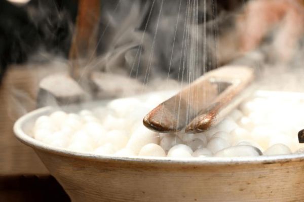 蚕茧怎么处理成蚕丝_蚕茧缫丝全过程-第2张图片-山城妙识 蚕茧怎么处理成蚕丝_蚕茧缫丝全过程-第2张图片-山城妙识